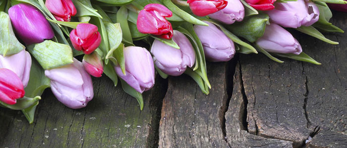 The Olive Branch Inn Marsden Huddersfield, West Yorkshire - Home